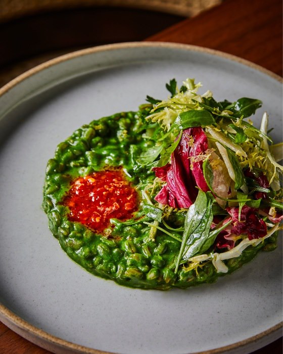 Home [www.ardorweho.com]